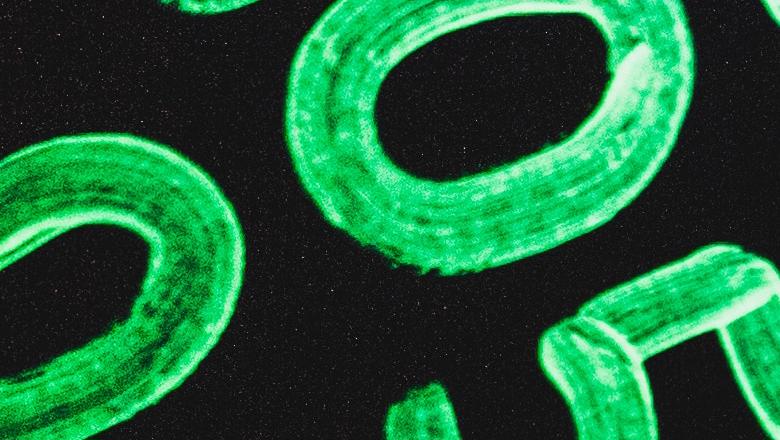 Mathematics Taster Session: Complex Numbers | King's College London